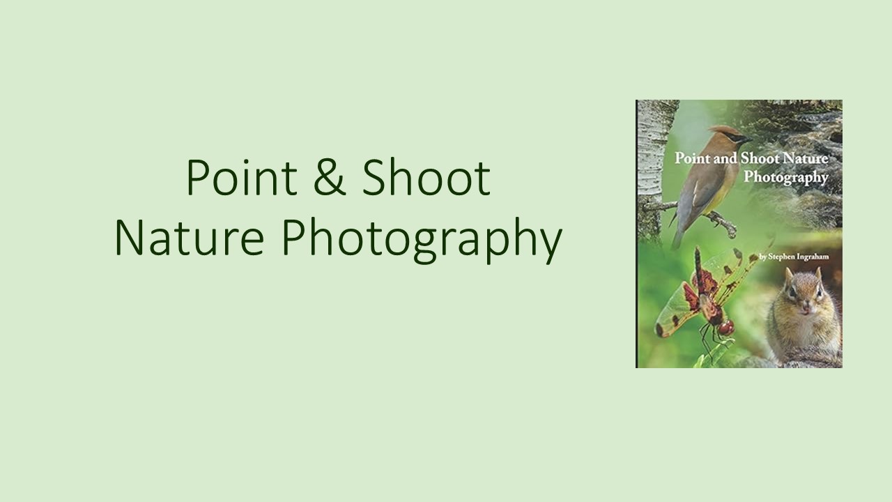 Point & Shoot Nature - Beccles